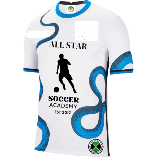 All Star Academy Shirt – DLPSportswear